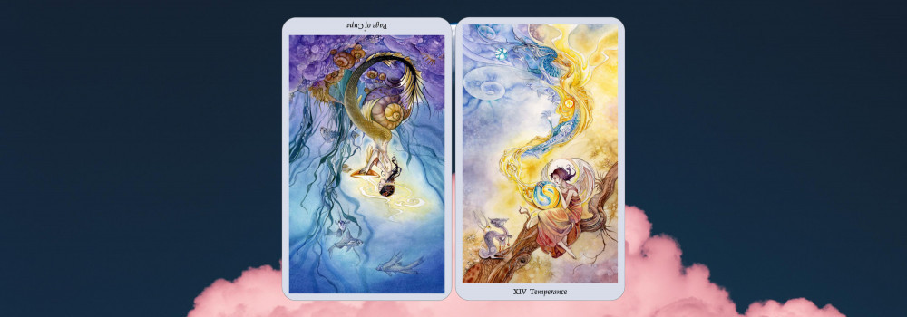 Scorpio love today - Best Micromanager Award - High Fives High Vibes